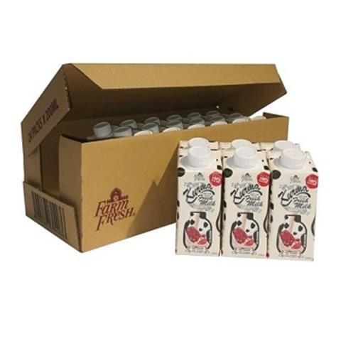 Dutch Lady Professional UHT Milk Full Cream 12s x 1L | ZuppaMarket